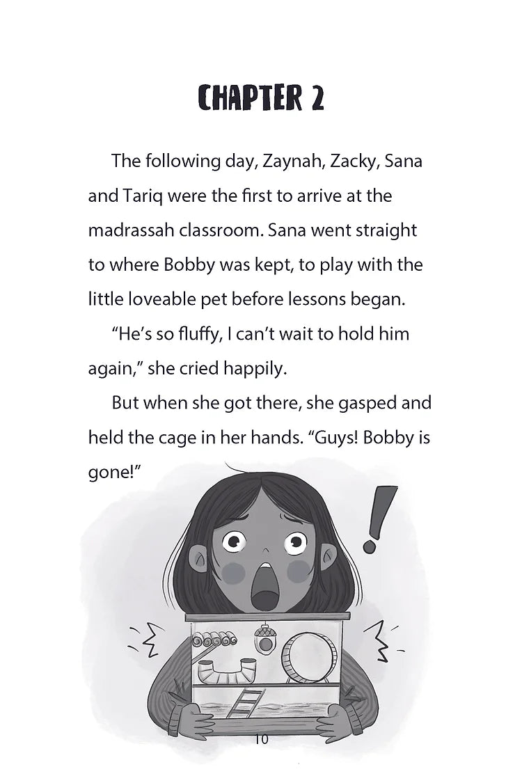 Madrassah Mysteries: The Case of the Great Gerbil Escape - Zanib Mian ...